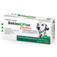 DEHINEL Plus Flavour 2 tablety - MojaLekáreň.sk